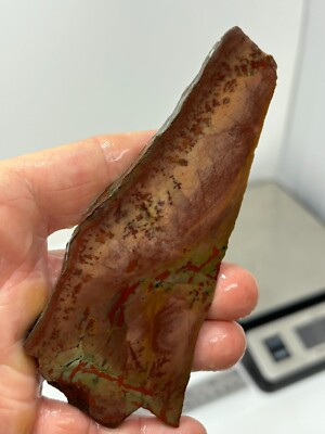 Red Butte Dendritic Jasper slab Cabbing Lapidary Combo ship avail | eBay