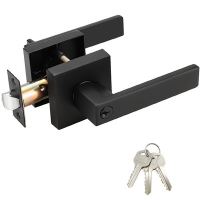 Door Handle with Lock and Keys for Bedroom, Exterior/Interior Privacy ...