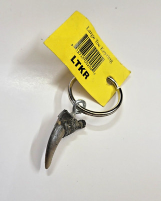 Gator Dave's Alligator Large Toe Keyring | eBay