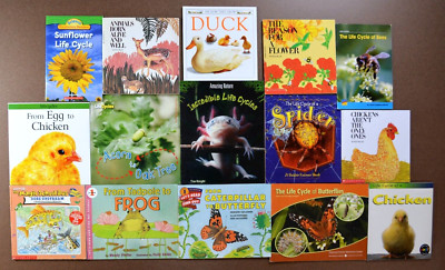 Lot of 15 Picture Books about the Life Cycles, Spring, Eggs, Frog ...