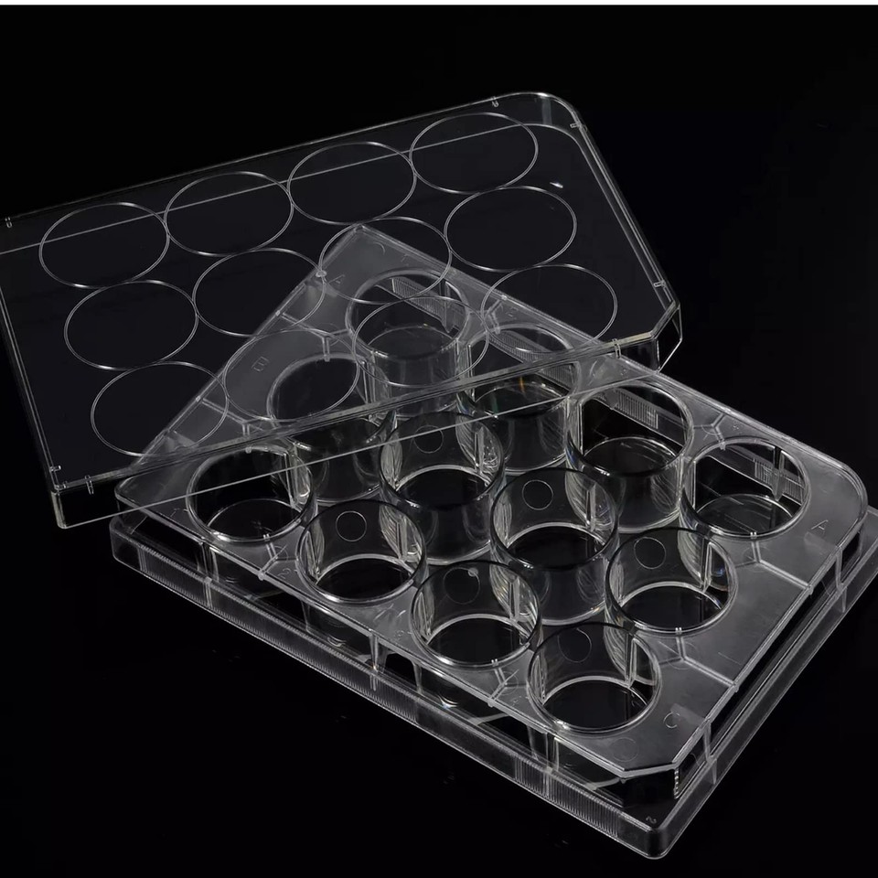 12 Well Culture Plate - Culture Plate 12 Well - with Lid, Flat Bottom ...