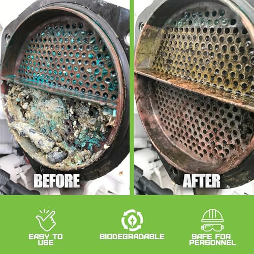 RYDLYME Marine Biodegradable Descaler (4, Gallon Bottle) | eBay