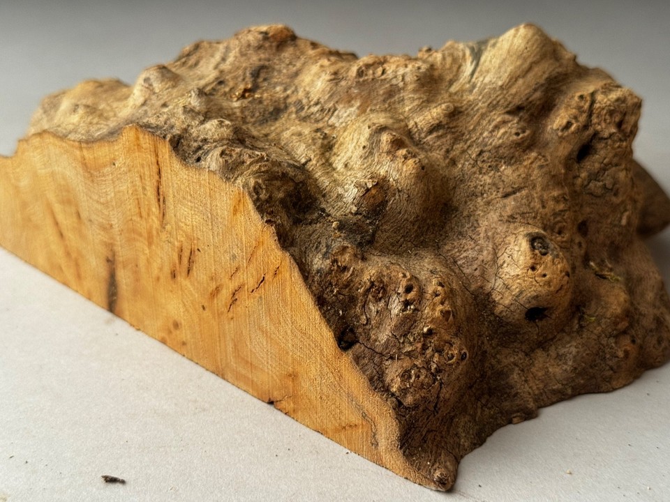 Burr Elm Resin Wood turning Pen clock Bowl Blanks 7x6x2.5 inch .5 KG ...