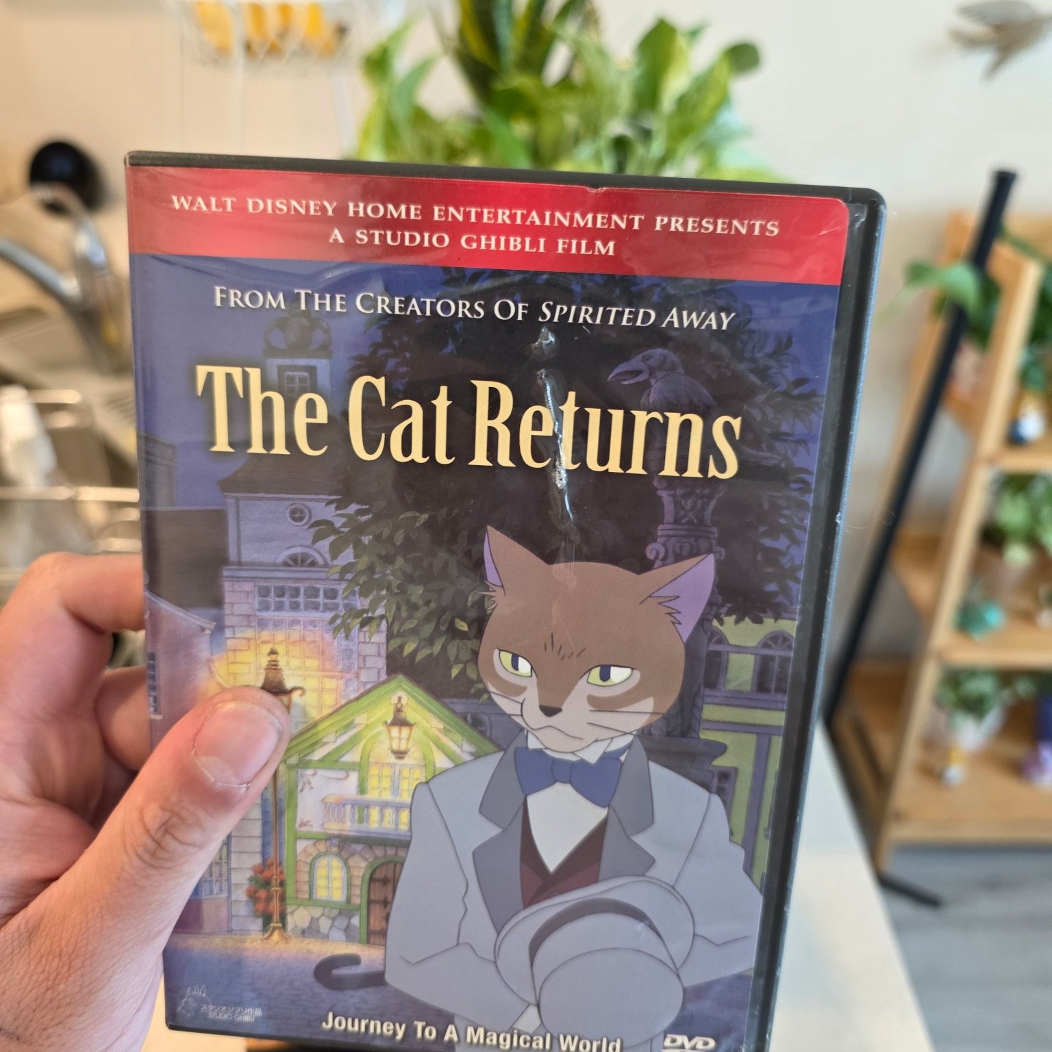 The Cat Returns DVD 2003 Studio Ghibli Animated Film | eBay