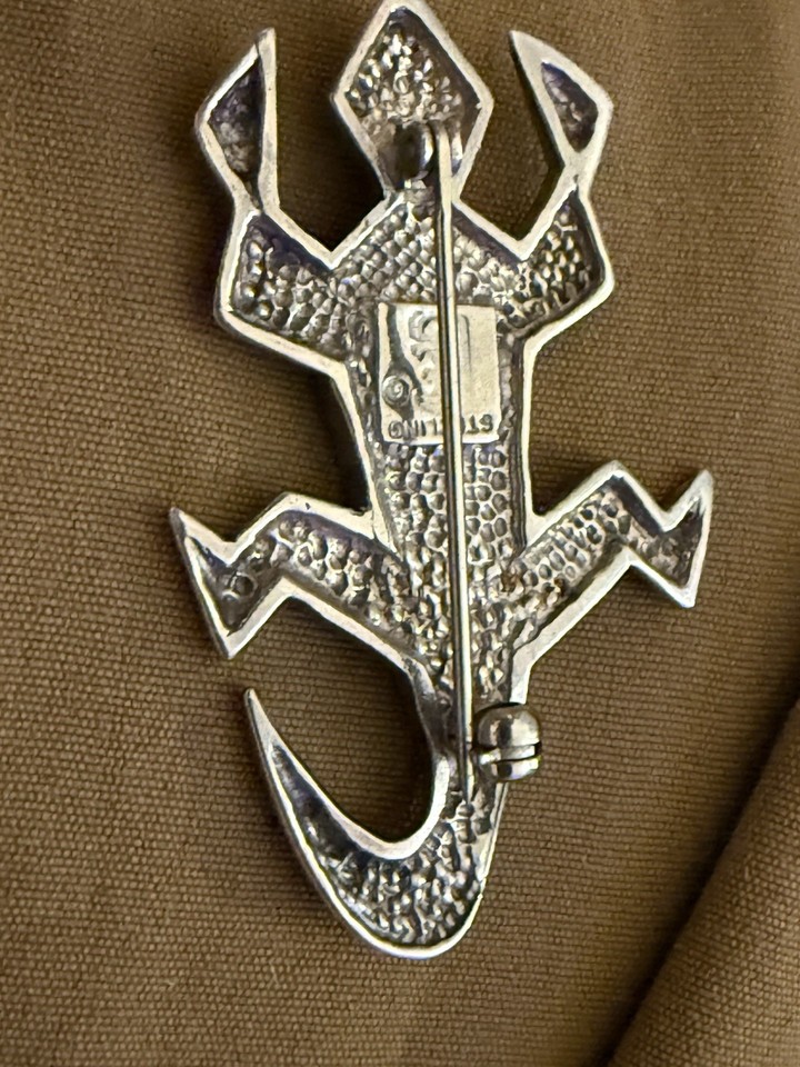 STERLING SILVER Navajo LIZARD PIN NATIVE AMERICAN MODERNIST HTF Signed ...