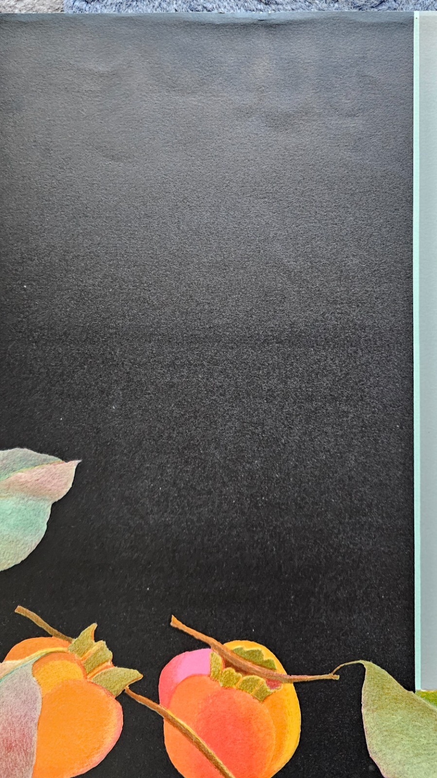 Pierre Garcia-Fons Fruit and Leaves HAND SIGNED LIM ED 60/170 ...