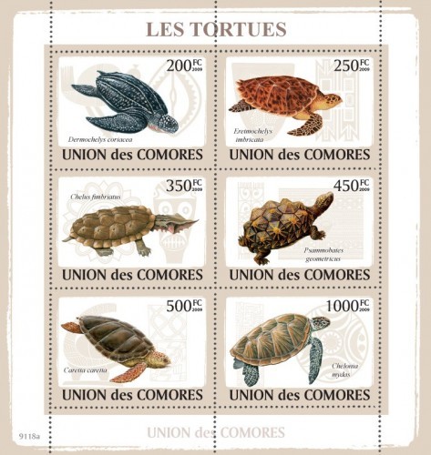 Turtles turtle Reptiles Comoros Comores 2009 m/s Mi. 2177-82 MNH # ...