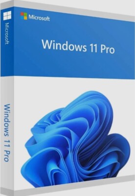 💻Windows 11 Pro Key - Win 11 Professional Key - Schneller Versand📭 | eBay