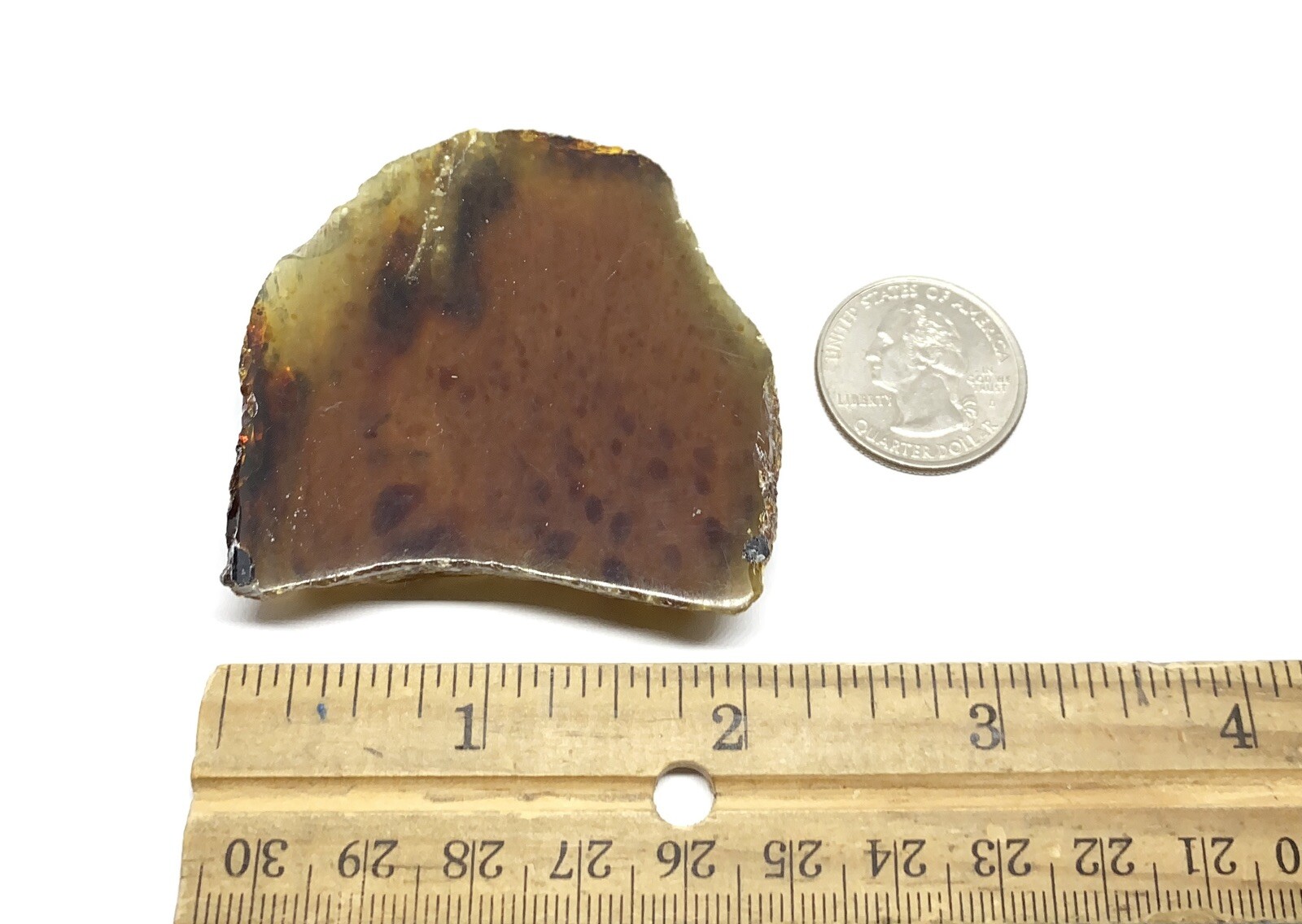 Indonesian Polished Amber 25g Beautiful Specimen RARE | eBay