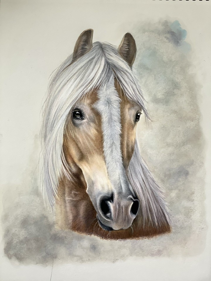 orginal Art horse print in many sizes. colored pencil art handmade. see ...