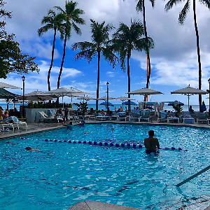 monaz import | eBay Stores