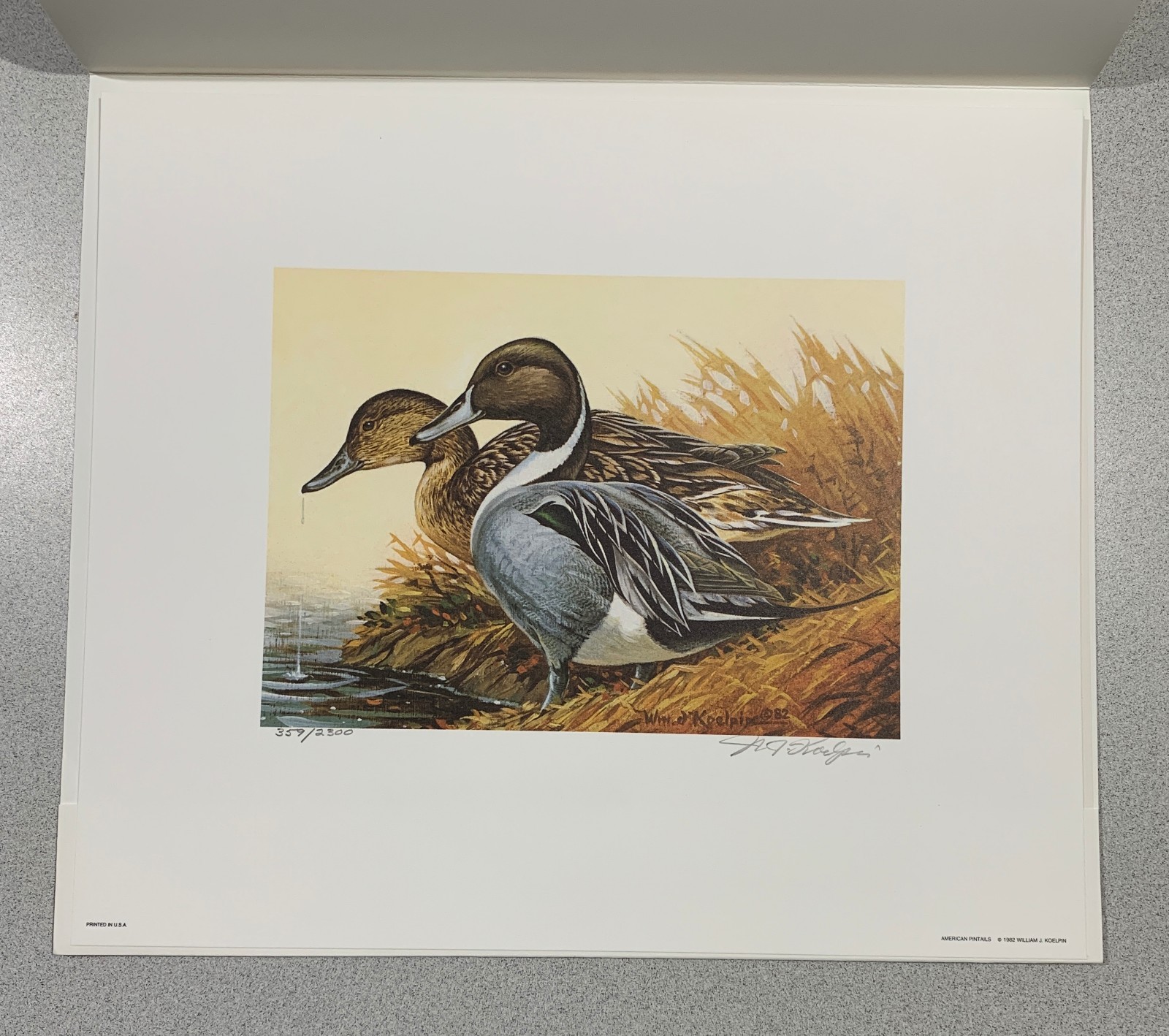WTDstamps - 1982 WISCONSIN - State Duck Stamp Print **WILLIAM KOELPIN ...