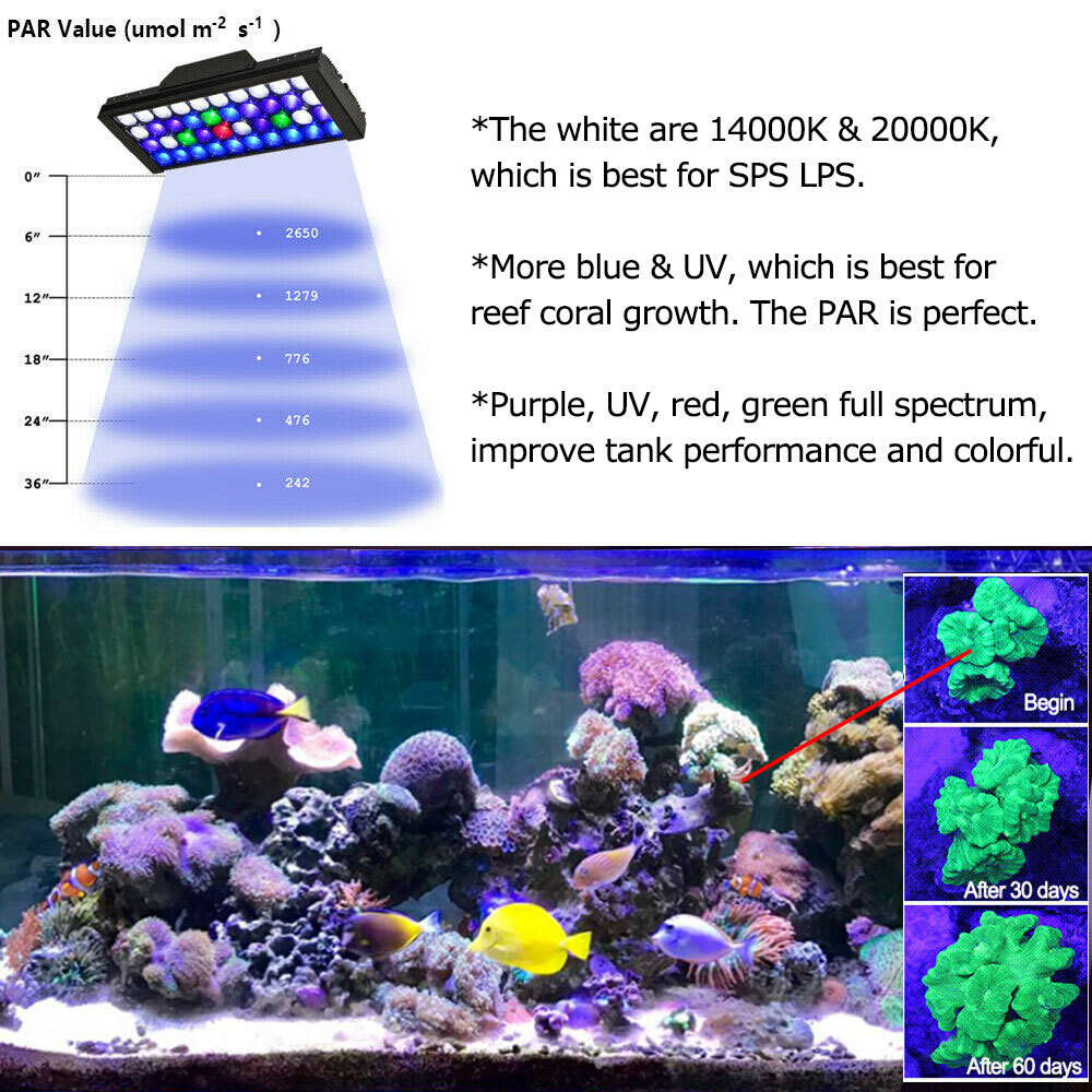 Diy Reef Aquarium Light