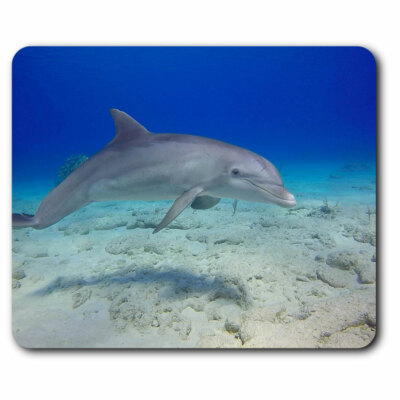 Computer Mouse Mat - Swimming Dolphin Ocean Sea Dive Diver Office Gift ...