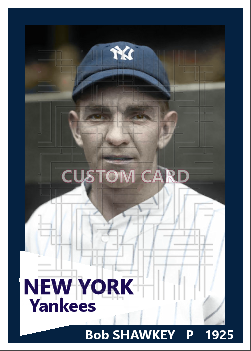 Bob Shawkey - 1925 New York Yankees - 2.5 x 3.5 custom card (blank back ...