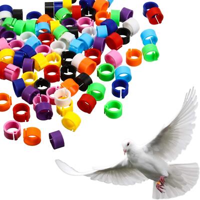 300 Pcs Bird Leg Rings Foot Bands for Chicks Bantam Finch Dove Lovebird ...