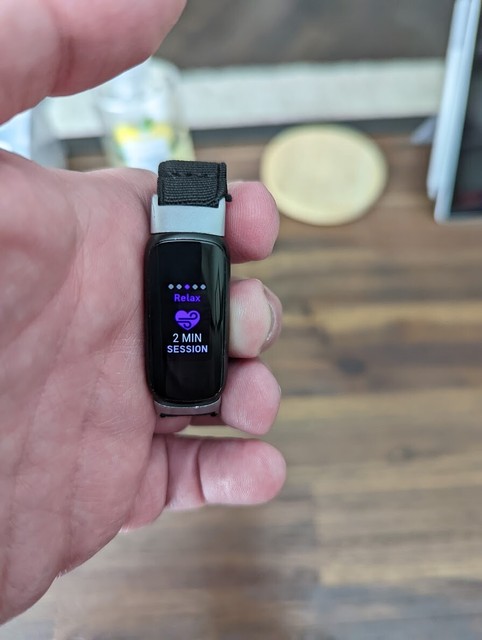 Fitbit Luxe FB422 Fitness Watch Activity Tracker HR Silver Case White L ...