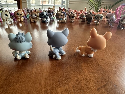 Huge Lot Of 50 LPS Littlest Pet Shop Pets Several Dogs Bird Cage Most ...