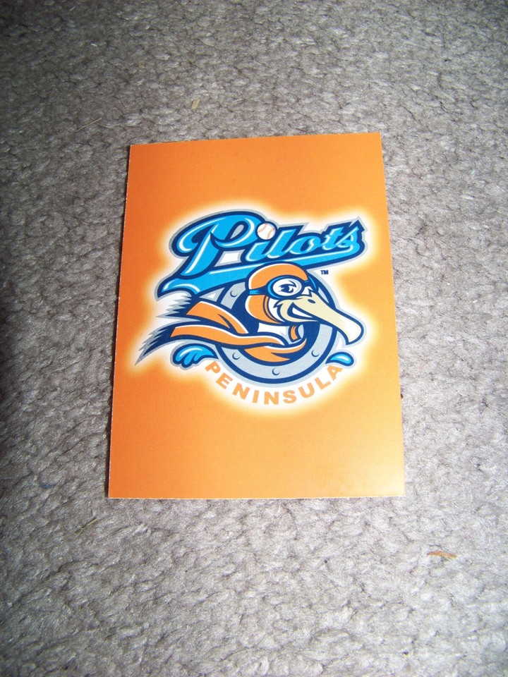 2015 Peninsula Pilots Coach Cory Brownsten | eBay