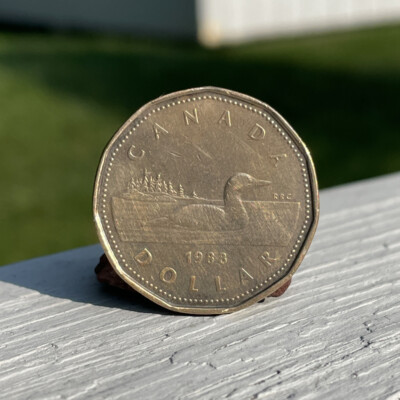 1988 CANADIAN DOLLAR 100 CENT AVERAGE DETAIL CANADA 100C FOREIGN COIN ...