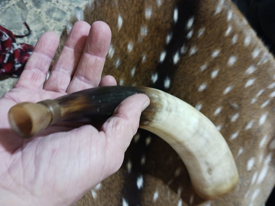 **AWESOME OLD LOUISIANA FOLK ART DOG HORN BLOWING HORN OLD TIME HUNTING ...