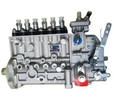 Fuel Injection Pump 3973900 for Cummins Engine 6CT 6CTA 6CTA8.3 Engine ...