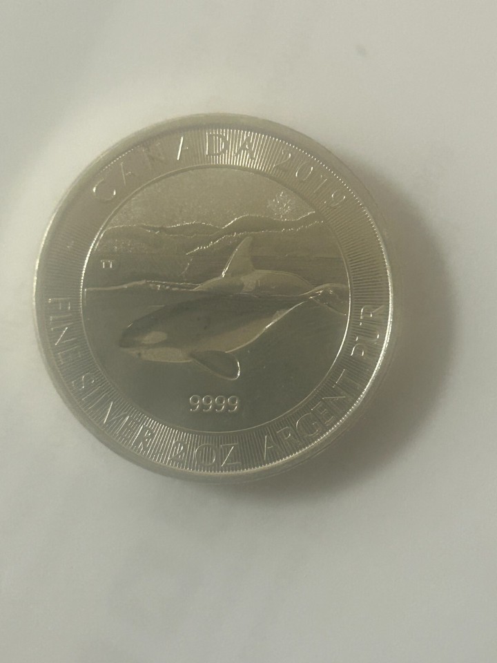 2019 2 Oz. Canadian Orca Whale $10 .9999 Silver BU Coin | eBay