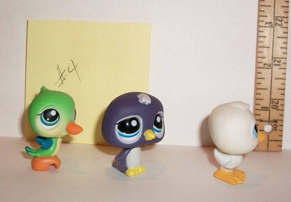 HASBRO LITTLEST PET SHOP BIRD LOT OF 3 TOY ACCESSORY LOT PREOWNED #4 | eBay