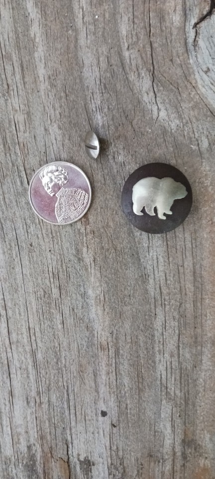 Concho-Bear 1 Inch Metal-Brown with silver tone bear. Belts, dog ...