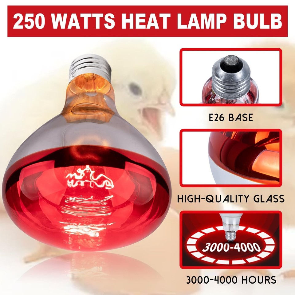 6 Pack 250W Heat Lamp Bulbs for Chicks, R40 Brooder Heat Lamp for ...