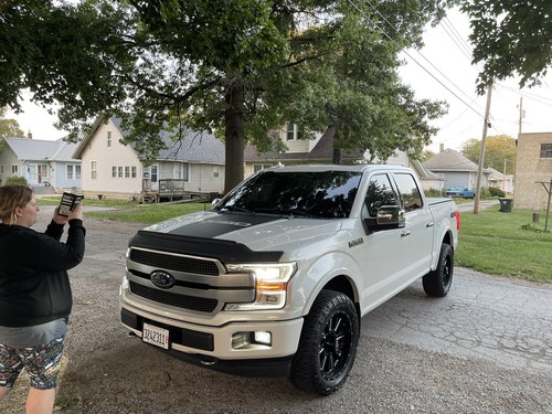 Penda 7010250X PendaForm Wheel Well Liner Fits 15-18 F-150 for sale ...