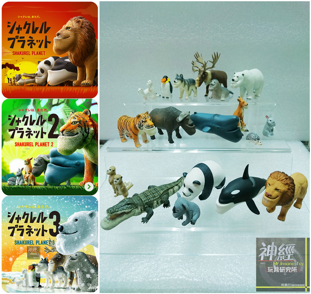 Takara Tomy Capsule Toy Panda's Ana Shakurel Planet Part1-3 Funny ...