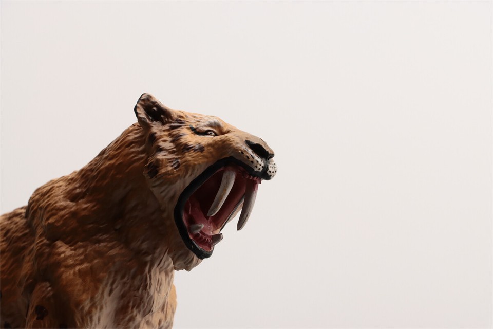 Earth Story Machairodus Smilodon Model Saber-toothed Tiger Figure Toys ...