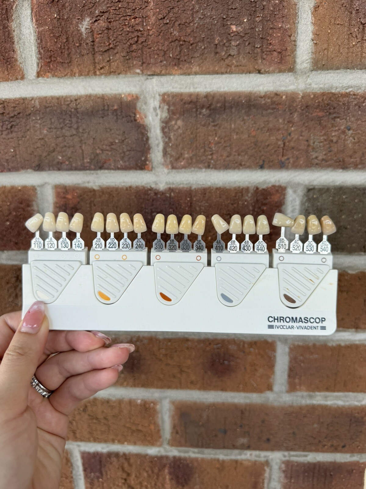 CHROMASCOP IVOCLAR VIVADENT Dental Shade Guide*please read | eBay