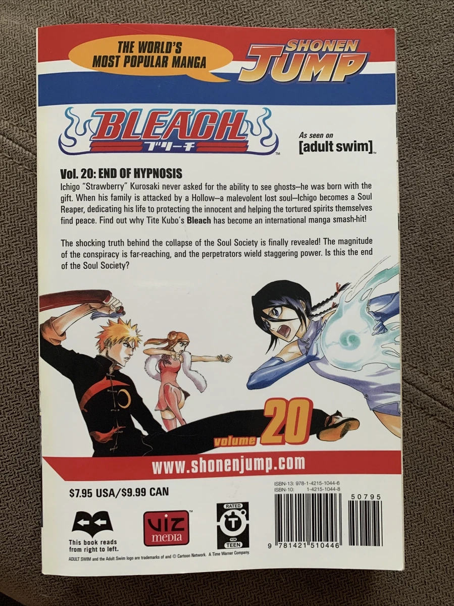 Bleach Manga Cover 20