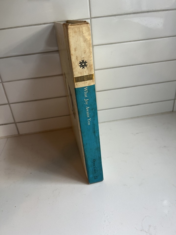 What Joy Awaits You : The RISE (Reading Instruction for Superior ...