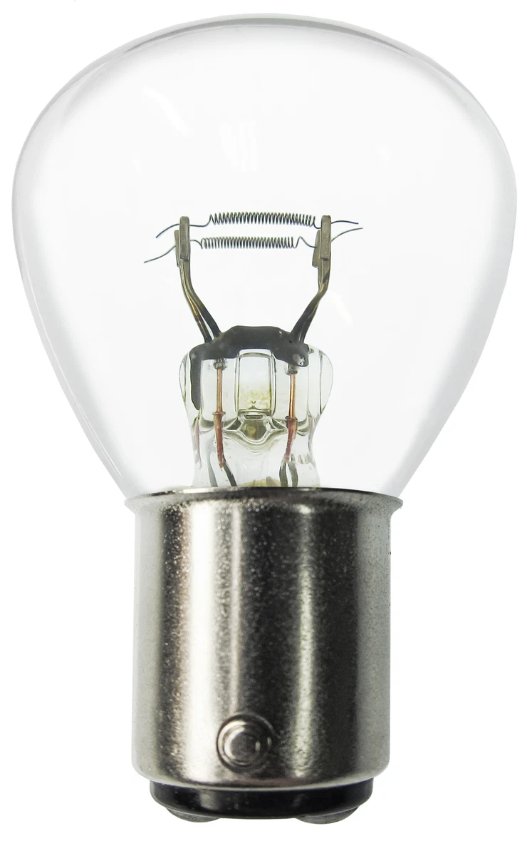 6 Volt Light Bulb Socket | Shelly Lighting