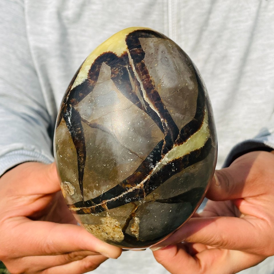1232g Large Natural Septarian Dragon Stone Quartz Crystal Geode Egg ...