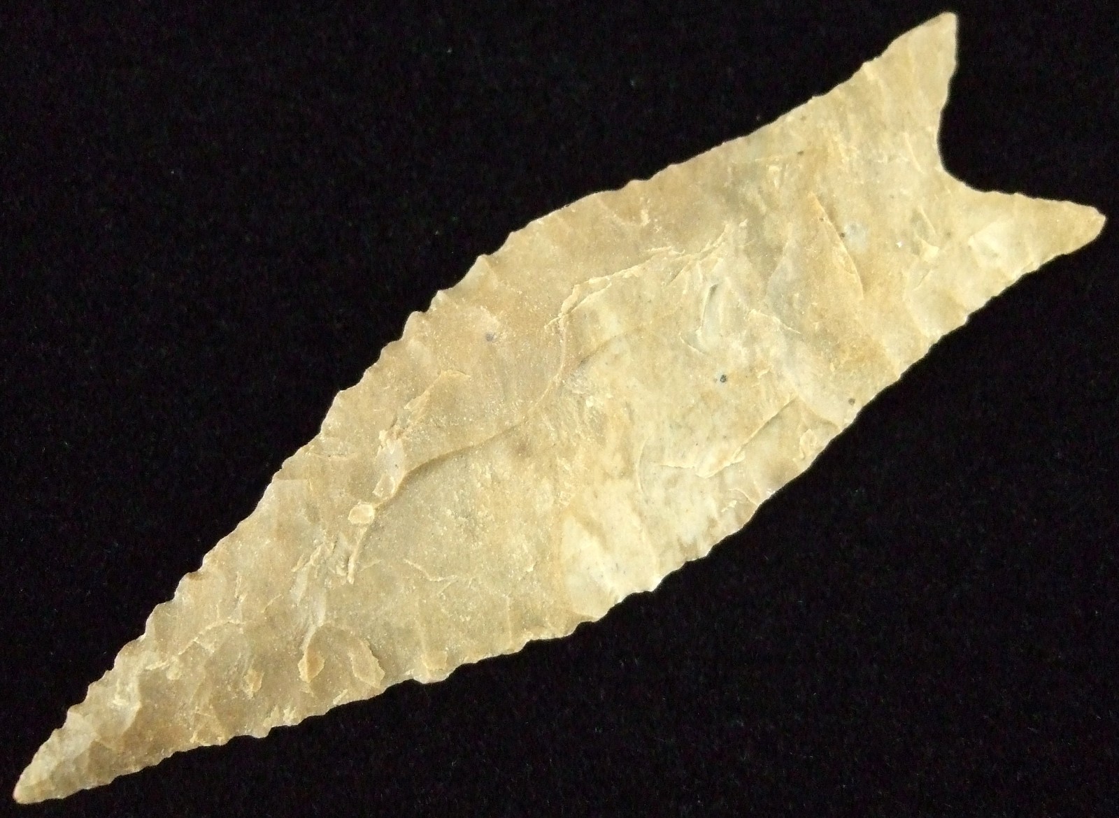 Exceptionally Fine G10 Kentucky Fort Payne Flint Cumberland Point COA ...