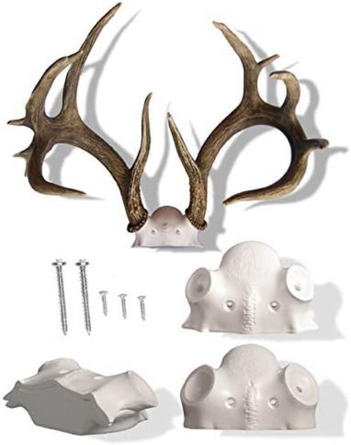 Antler Mounting Kit - Compatible with Harvested or Shed Antlers ...