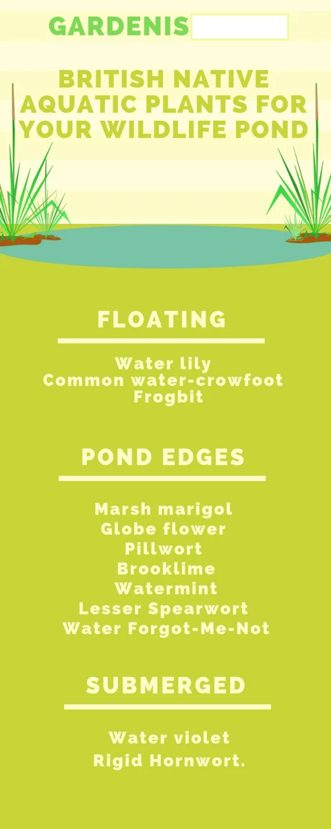 Preformed Garden Ponds Australia | Fasci Garden