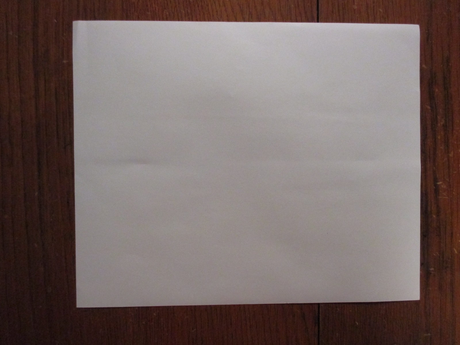 1974-75 Tufts University Mens Basketball Team 10x8 Photo(ED TAPSCOTT ...