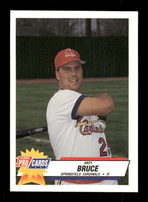 1993 Fleer Procards Springfield Cardinals 1856 Andy Bruce BXCP28 | eBay