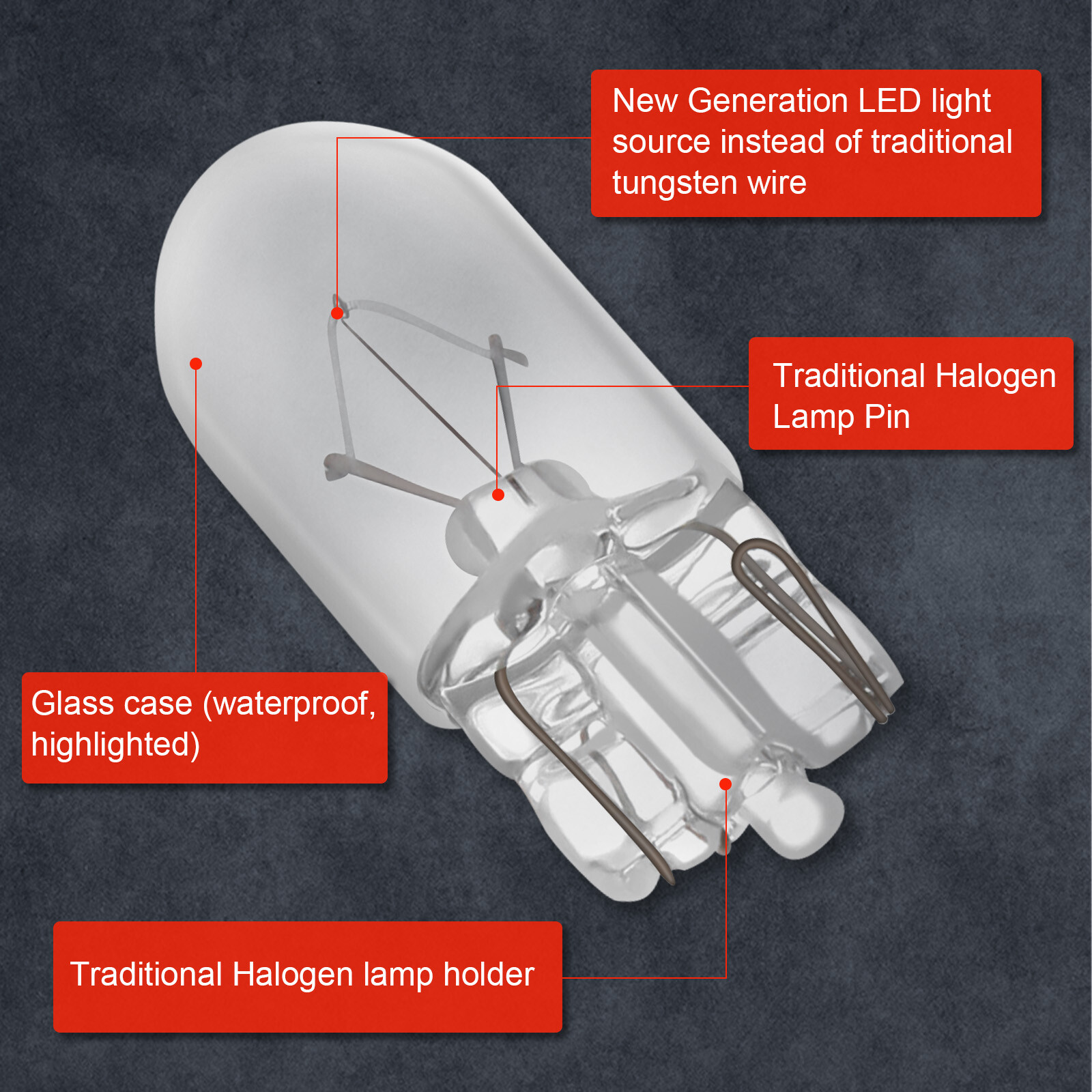 50 W5W T10 194 168 2825 Clear Glass Bulb Car Halogen bulbs 12V 5W Warm ...