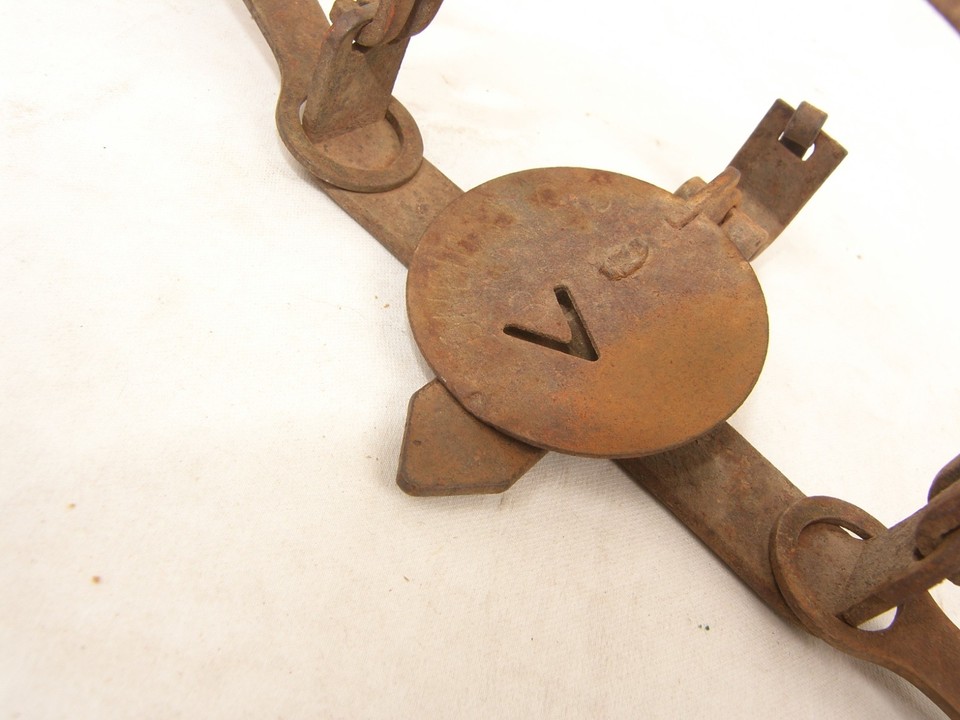 Vintage Oneida Victor #3 Animal Trap 17” Long 3 1/2" W/Chain Barn Find ...