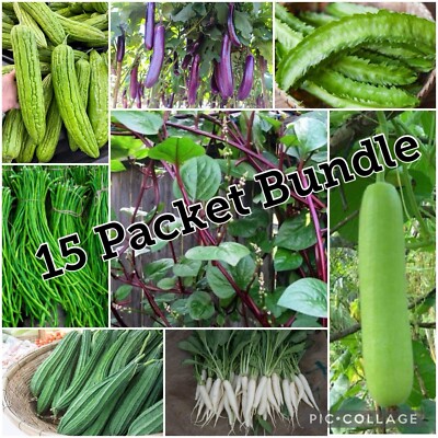 15 Packets of Asian - Filipino Vegetable SEEDS for Planting | eBay