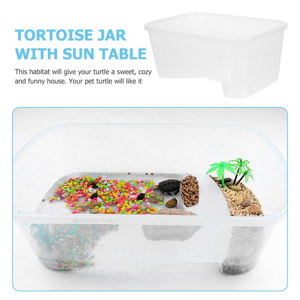 Turtle Reptile Turtle Crawling Box Basin Pet Large Turtle | eBay UK
