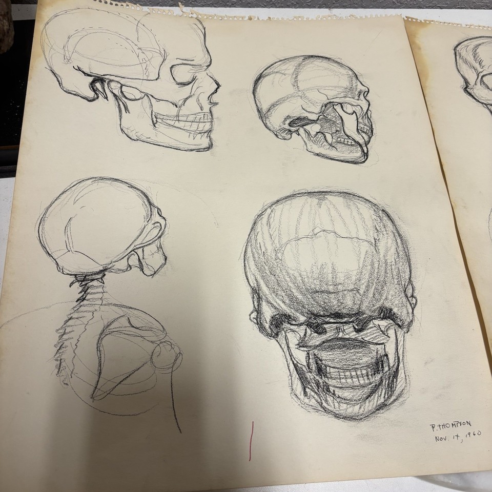 PAIR Human Anatomy Skeleton Skulls Original Drawings Sketches P ...