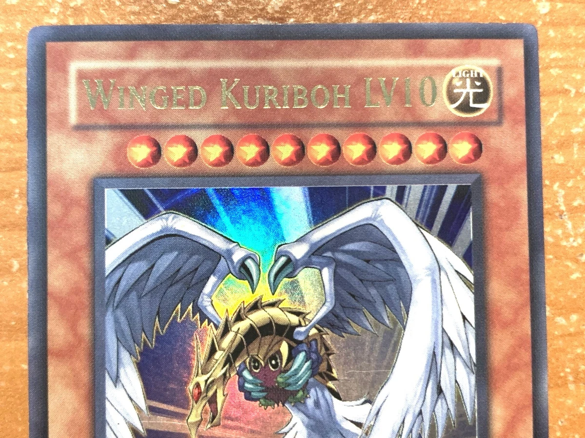 Winged Kuriboh Lv10
