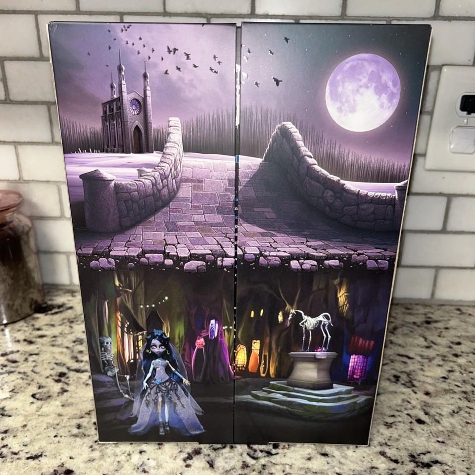 Monster High Skullector Corpse Bride - Emily Monster High Doll BOX ONLY ...